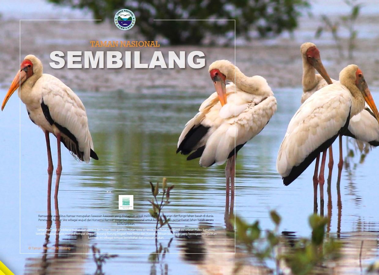 Berwisata Alam di 10 Taman Nasional Sumatera yang Super Cantik ...